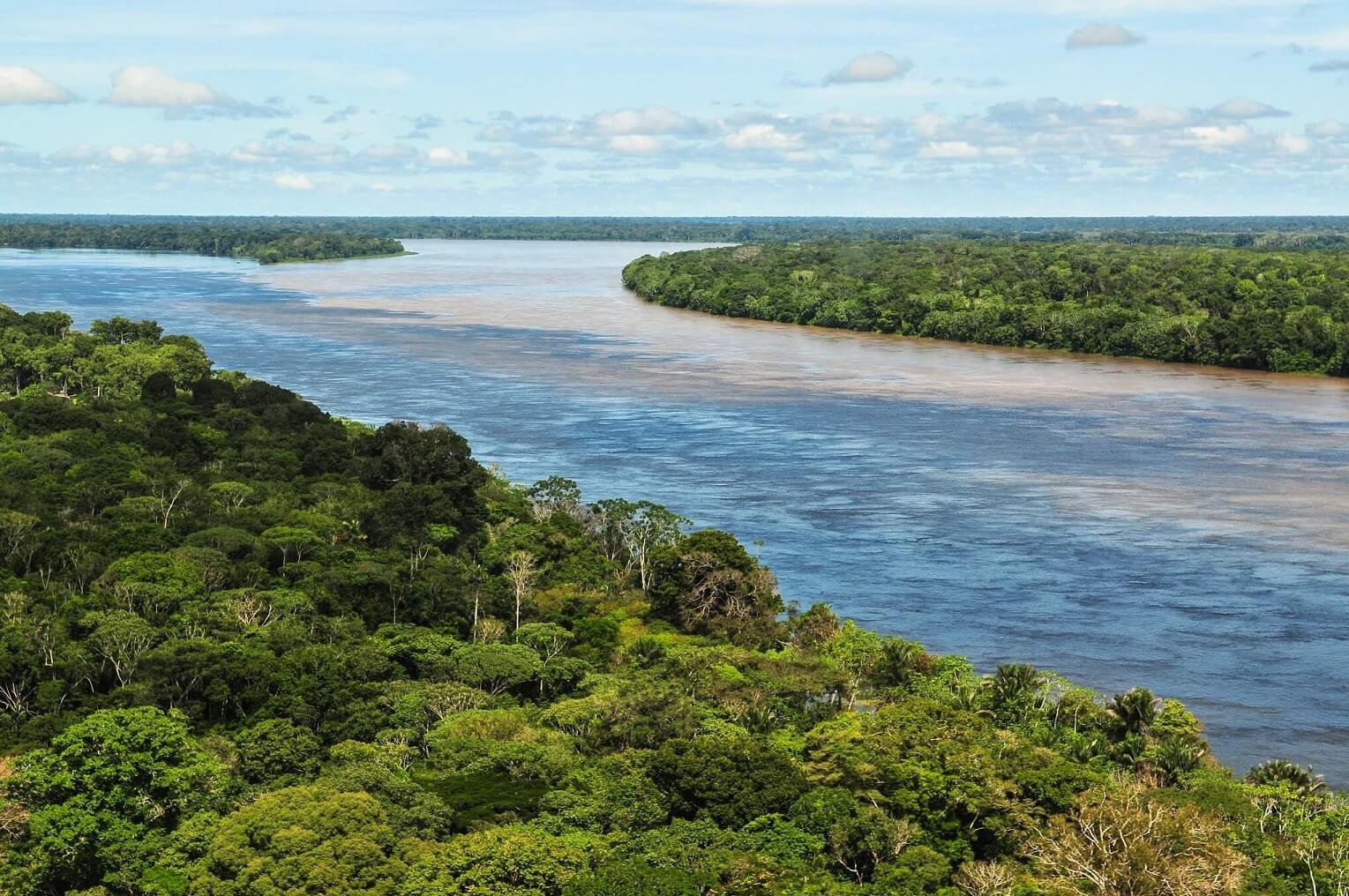 Amazon rainforest cruises and expeditions from Manaus in Brazil and Guyana
